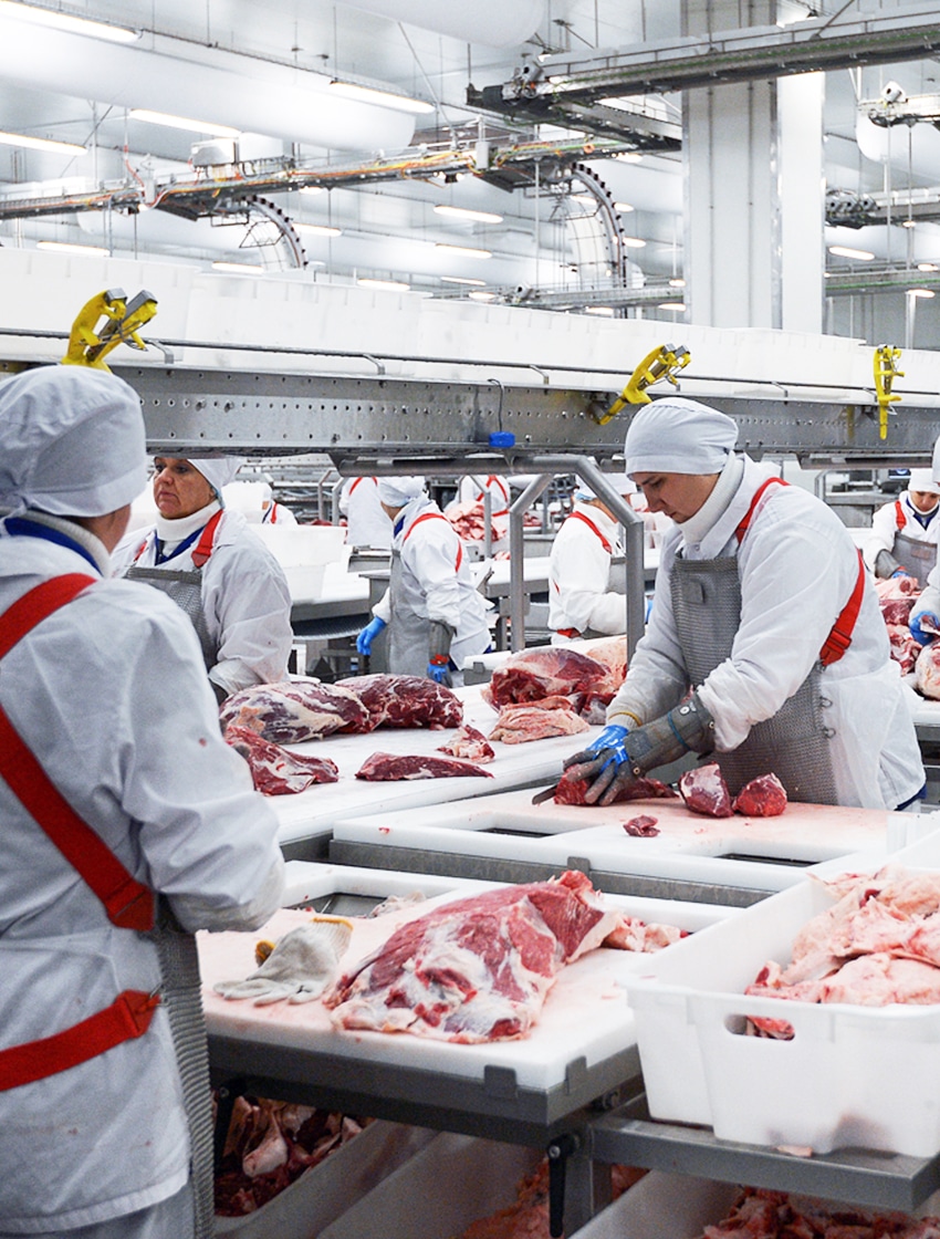 Red Meat Slaughterhouse And Processing Facilities - Frigoline Group