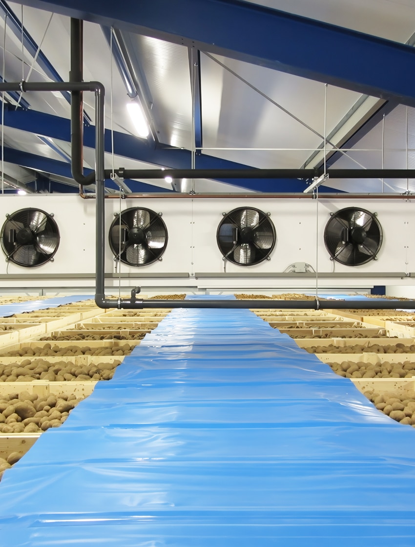 Potato & Onion Cold Storage - Frigoline Group